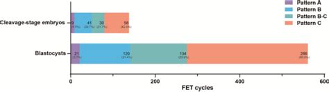 Endometrial Echo Patterns Of Embryo Transfer Day Affect Pregnancy