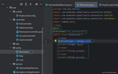 SpringSecurity安全框架 CSDN博客
