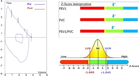 Testing Your Lungs Spirometry Pmc