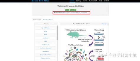这批单细胞测序公共数据库值得收藏一波 知乎