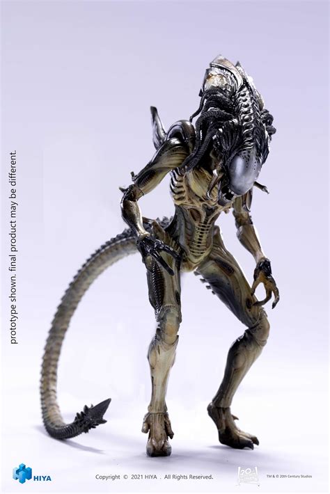 Predalien Coloring Pages 2025