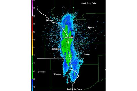 Mayflies Bug Stations Car Washes In Upper Midwest Slideshow