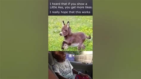 Warning Comedy Video Meme 🤣 😂 Funny Funnymeme Memes Jokes