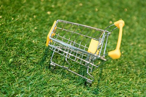 ตะกร้าสินค้าขนาดเล็ก ดาวน์โหลดรูปภาพ รหัส 500774048ขนาด 167 Mbรูปแบบรูปภาพ 