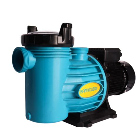 Pool Pumps The Pool Shop