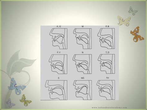 Partial Glossectomy Online Orthodontic Courses