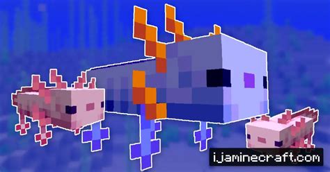 Minecraft How Rare Are Blue Axolotls Ijaminecraft