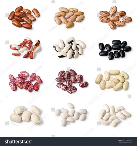 Collection Of Different Beans Isolated On White Background Stock Photo 135452249 Shutterstock