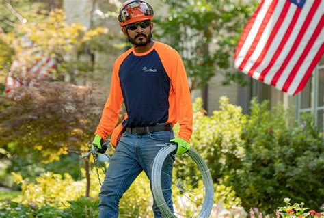 Tree Care Solutions In Plano Texas TreeTech TX