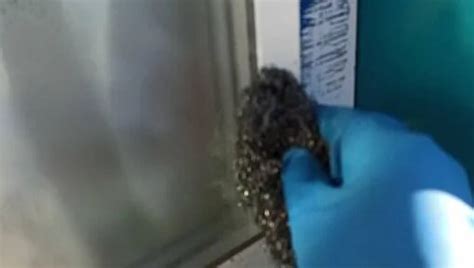 Простейший способ удалить застаревшую плёнку с пластиковых окон Моя усадьба с нуля Дзен