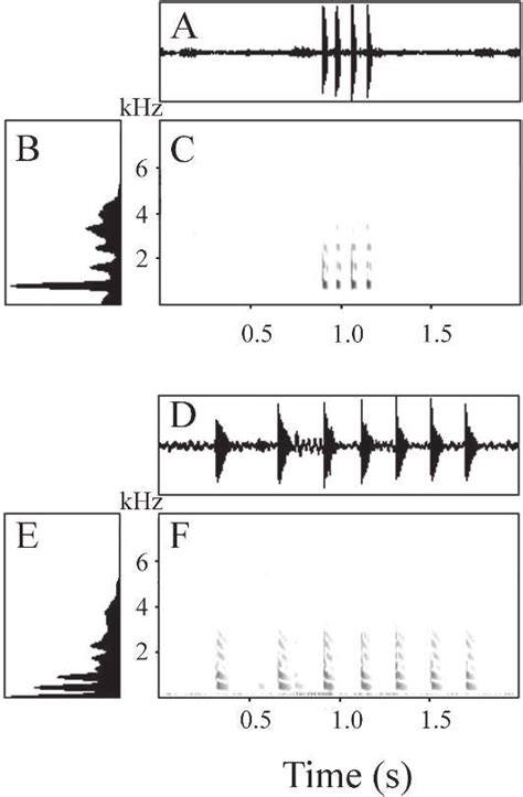 A Waveform B Amplitude Spectrum And C Spectrogram Of A Download Scientific Diagram