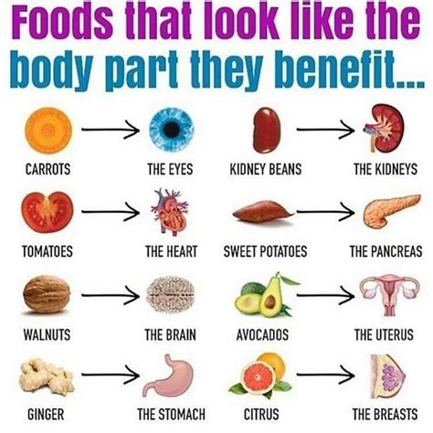 Fruits That Resemble Body Parts Foods That Resemble Body Parts Theyre
