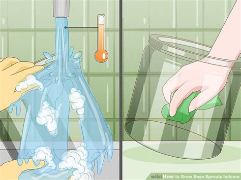 How To Grow Bean Sprouts Indoors With Pictures WikiHow