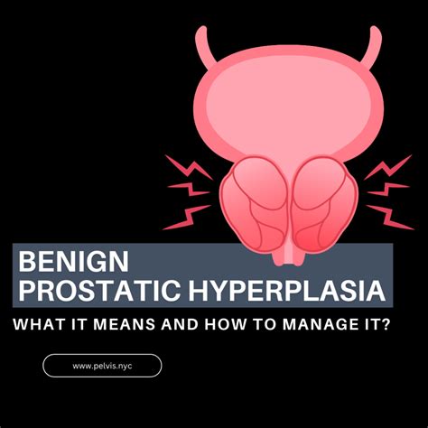 Does Jelqing Work Separating Fact From Fiction On Penis Enlargement