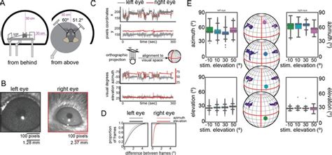 Figures And Data In Mouse Color And Wavelength Specific Luminance Contrast Sensitivity Are Non