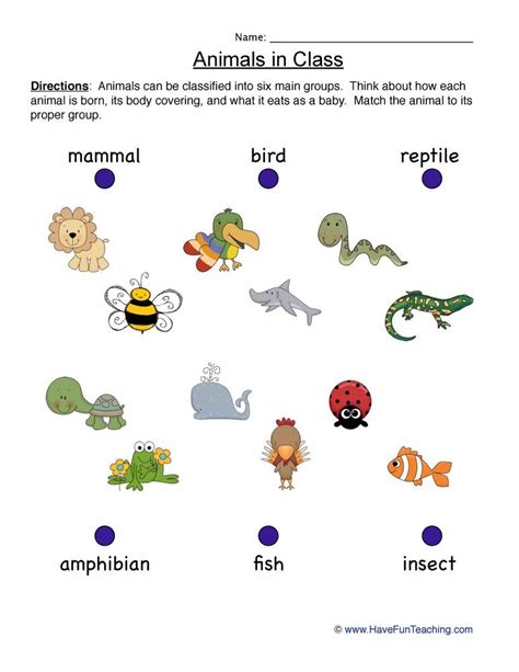 Classification Have Fun Teaching Artofit