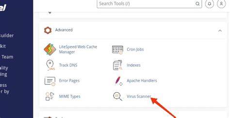 How To Use Virus Scanner In CPanel HarmonWeb Blog