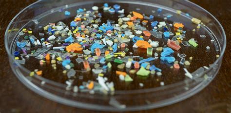 Whats That Microplastic Advances In Machine Learning Are Making