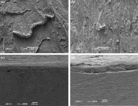 Scanning Electron Micrographs Of The Worn Surfaces And Cross Section Of