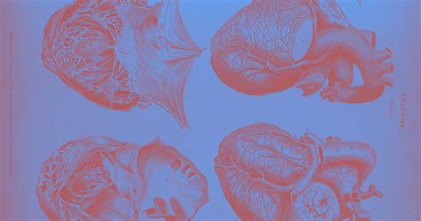 Американские медики создали рассасывающийся кардиостимулятор