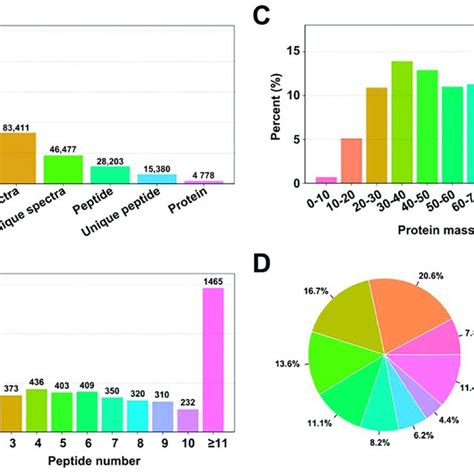Primary Data Analysis And Protein Identification A Basic