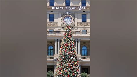 🇦🇺 호주 워홀 기깔나는 시티투어 오페라하우스록스마켓 Youtube