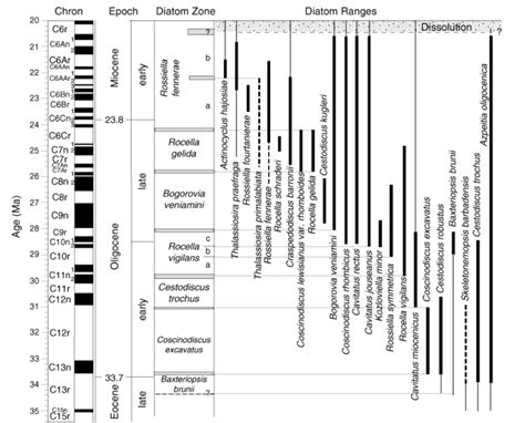 Solved Use This Figure To Identify The Following 1 Biozone Solved Use This Figure To Identify The Following 1 Biozone