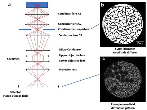 mmc series magnetic phase imaging using lorentz near field electron