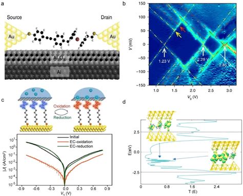 A Illustration Of The Single Molecule Transistor With Derivative Of Download Scientific