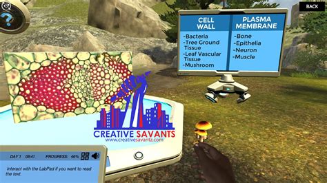 What Is Labster And How To Get Labster Simulation Answer Keys Online