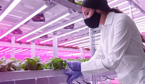 5 Uses For Uv Light Cool Gross Weird