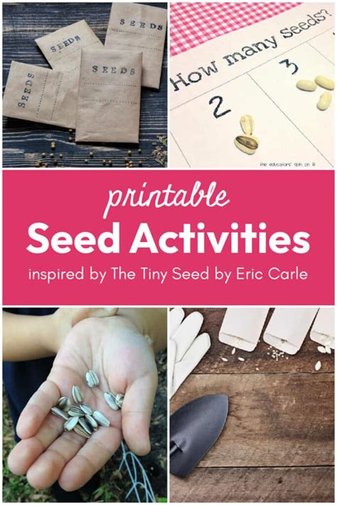 The Tiny Seed Worksheet