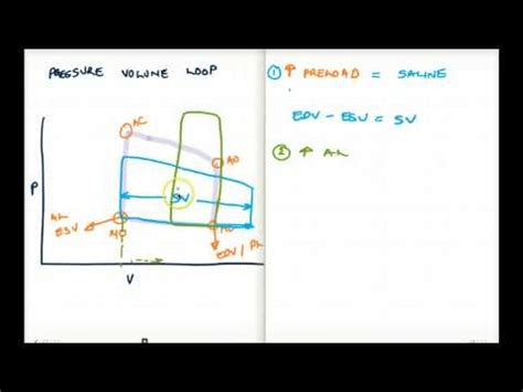 PRESSURE VOLUME LOOP MADE SIMPLE YouTube
