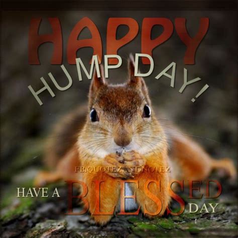 Happy Hump Day