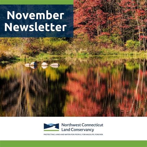 Catherine Rawson Posted On Linkedin