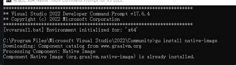Graalvm编译spring Boot 3 Jpa 的原生镜像jpa Graalvm Csdn博客
