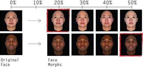 The Other Race Effect And Face Perception Yassa Lab
