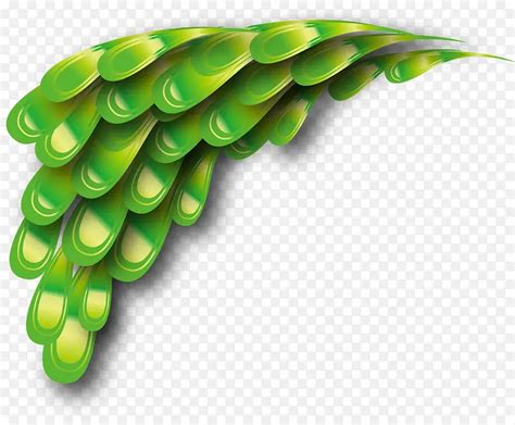 立体孔雀羽毛PNG图片素材下载 图片编号 PNG素材网