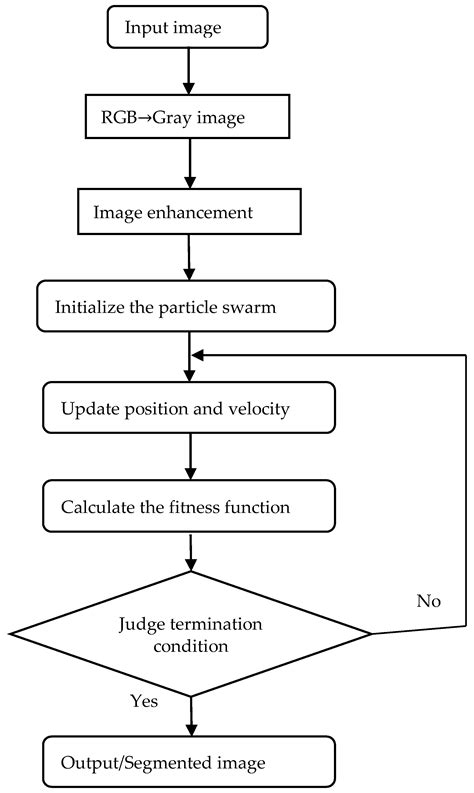 Image Segmentation Based On Dynamic Particle Swarm Optimization For Crystal Growth