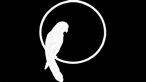 აქცია მე არ მაქვს აივანი Youtube