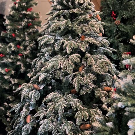 ყველაზე მაგარი ფოტოები