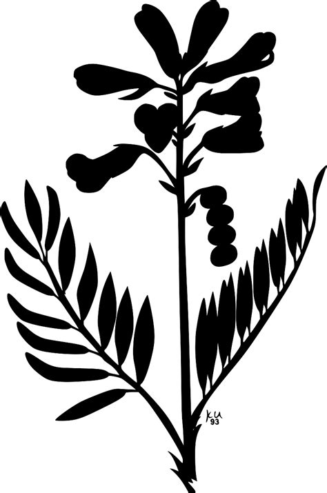 Svg Flores Imagen E Icono Gratis De Svg Svg Silh