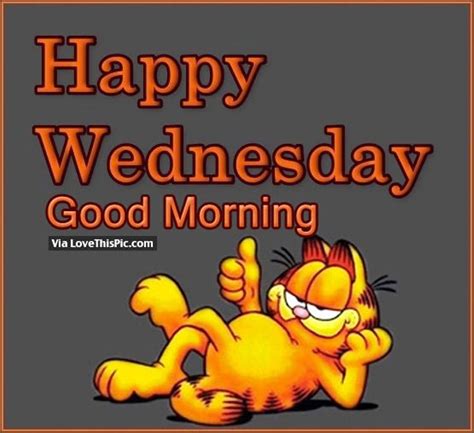 Wednesday Morning Funny Images