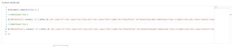 Add Multiple File Control On The Basic Form Of Powerapps Portal