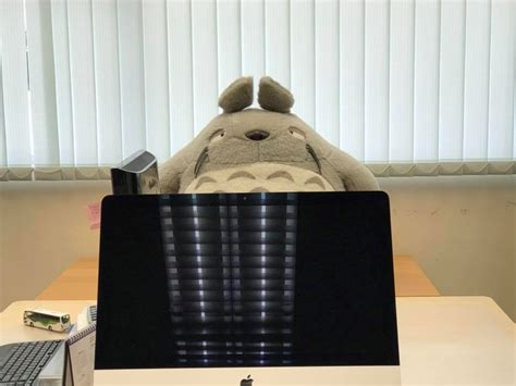 Buses Model Co Buses Model Co Updated Their Cover Photo