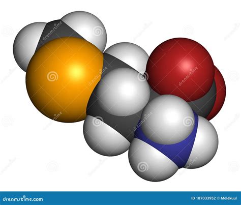 Selenomethionine Amino Acid Molecule Selenium Containing Natural