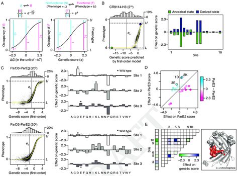 Understanding Genetic Architecture A Interpreting Genetic Score S