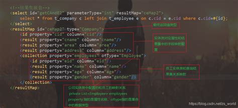 mybatis返回值为map或对象 一对多 多对一精简例子 mybatisplus xml自定义join一对多怎么返回map csdn博客