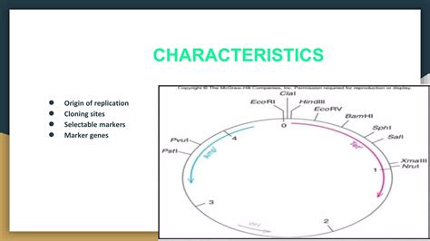 A Seminar Topic On Cloning Vector By Goutam Ppt