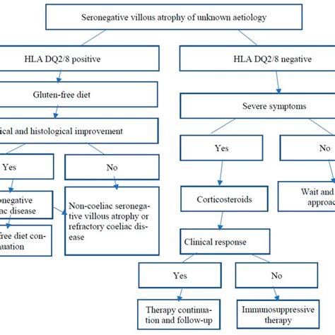 a stepwise algorithm for the treatment of seronegative villous atrophy